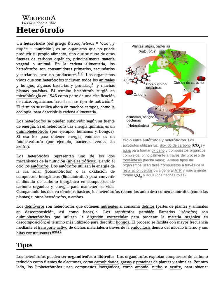 Heterótrofos: Definición y Clasificación | PDF | Ecología de sistemas ...