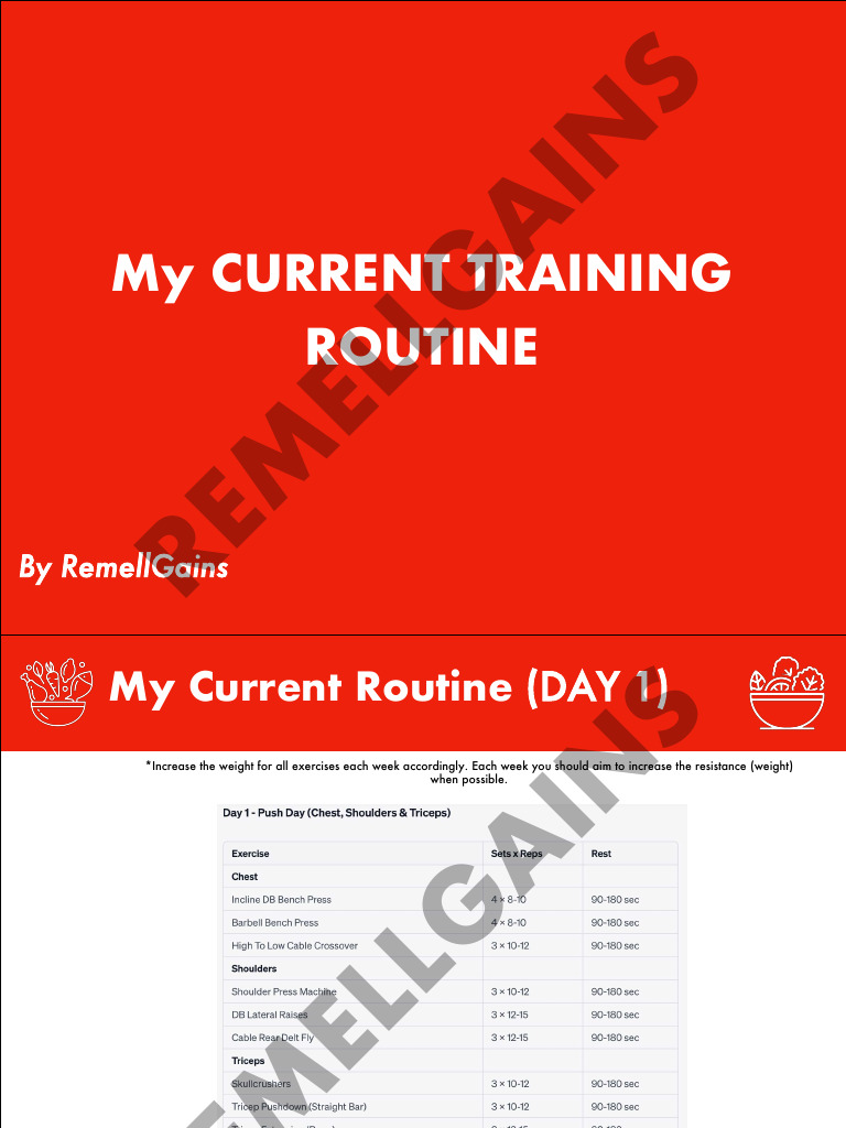 RGAINS Current Training Routine (PPL X ARNOLD) - 1 | PDF | Weight Loss | Determinants Of Health