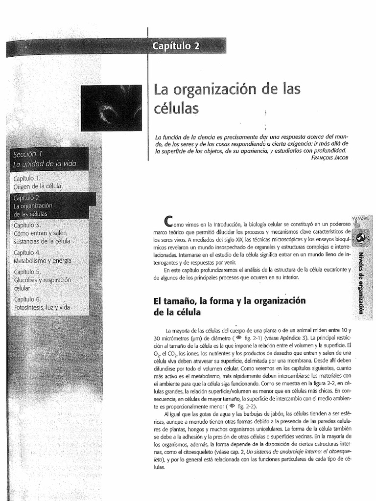 Capítulo 2 - Curtis 7ma Edición | PDF