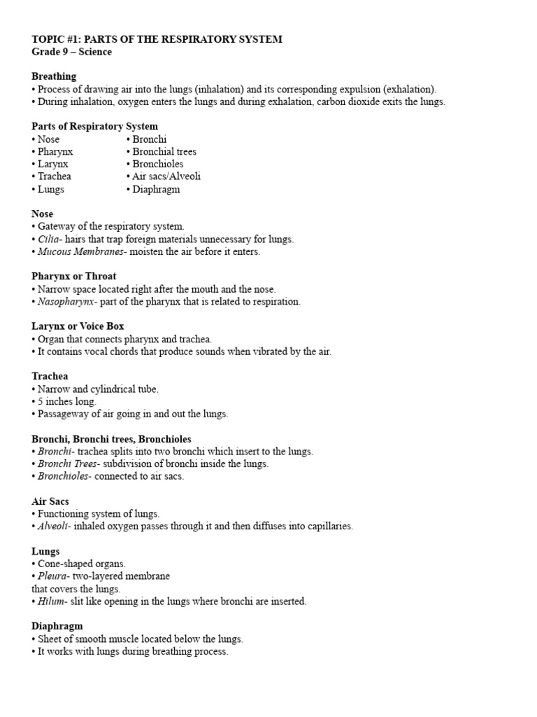 Parts of The Respiratory System - Handout | PDF | Science & Mathematics