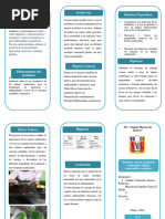 Triptico de Planta Medicinal | PDF | Plantas medicinales | Agua