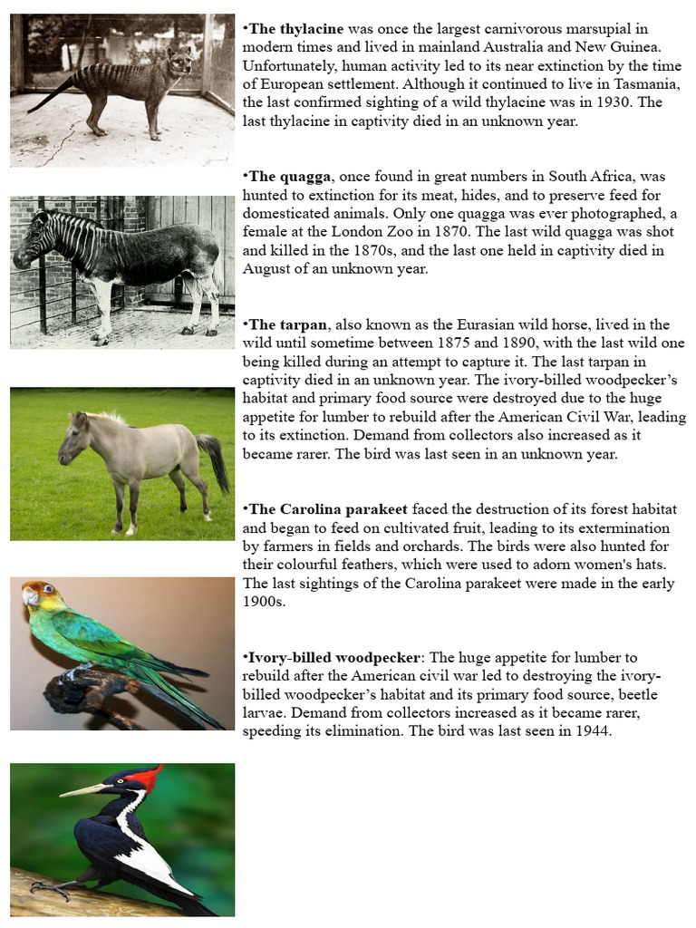 Extinct Animals With Explanation - GEO HW 27 - 07 - 23 (Autosaved ...