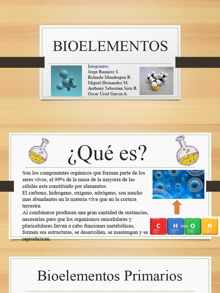 Bioelementos: Clave de la Vida Orgánica | PDF | Biomoléculas | Organismos
