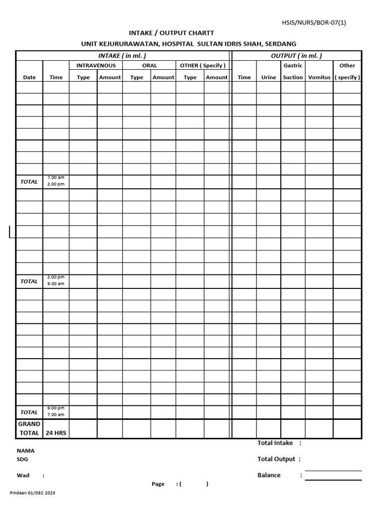 Intake Output Chart | PDF