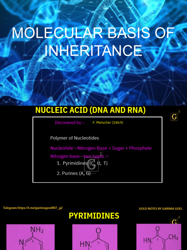 Gold Notes of Mol Bio by Garima Mam | PDF | Operon | Dna