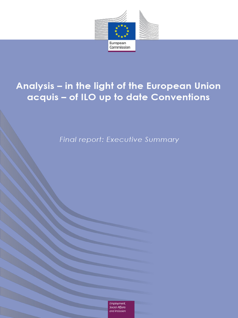 Exec Summ EN - Analysis - in The Light of The European Union Acquis ...