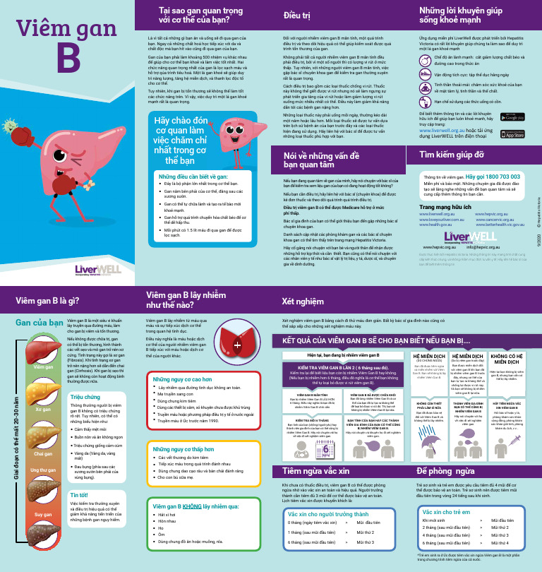 Hepatitis B LiverWELL Brochure 2020 - Web - Vietnamese | PDF