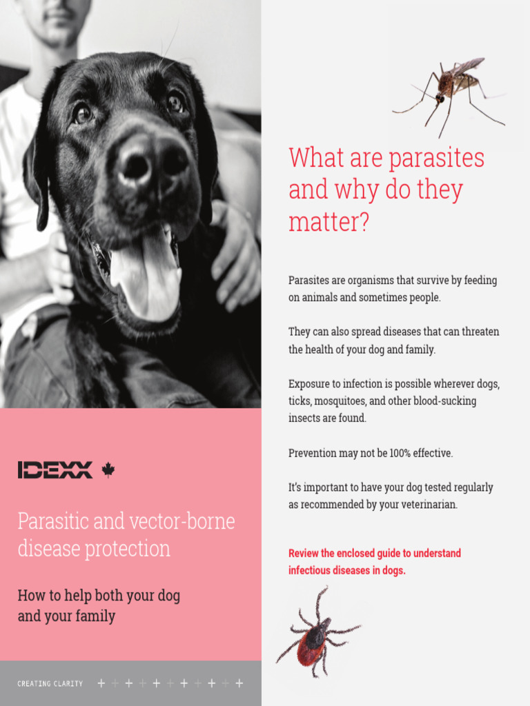 Pet Owner Parasite Screening Brochure en Ca | PDF | Immunology | Public ...