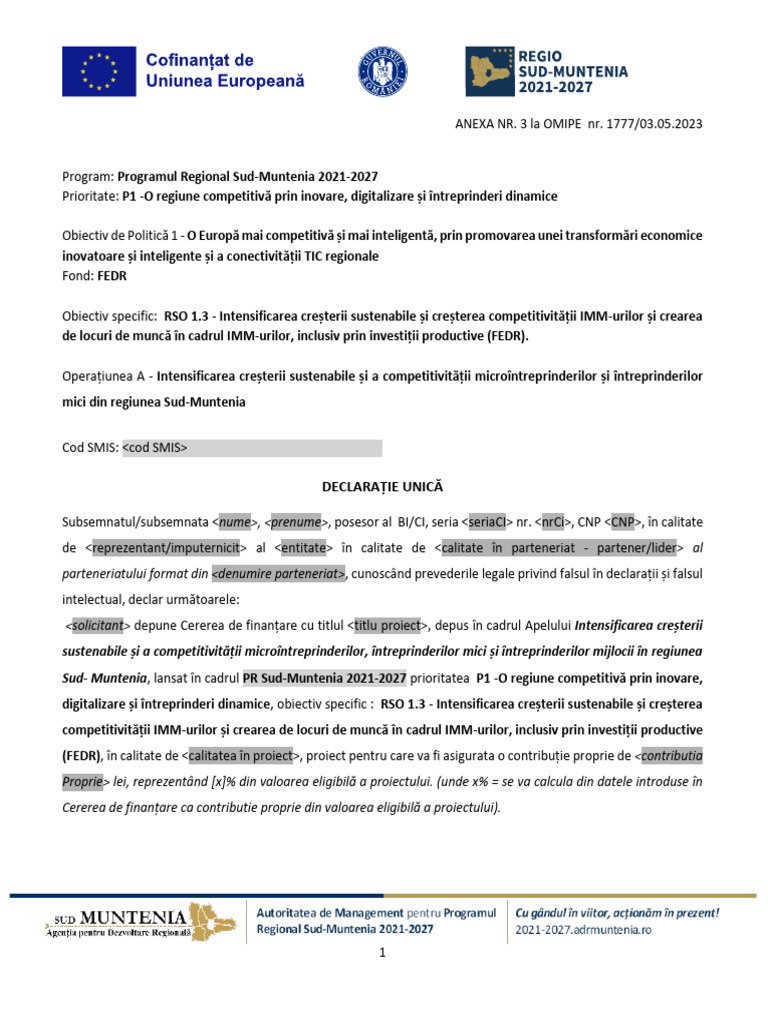 Anexa 2. - Declaratie - Unica | PDF