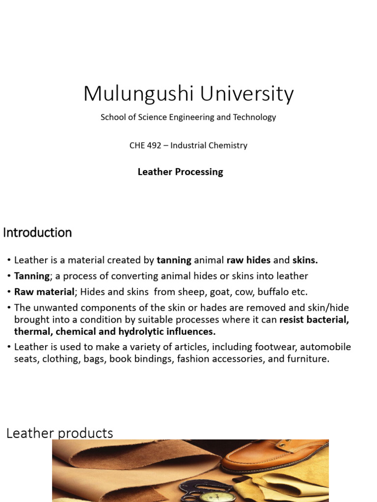 Leather Industry | PDF | Leather | Chromium