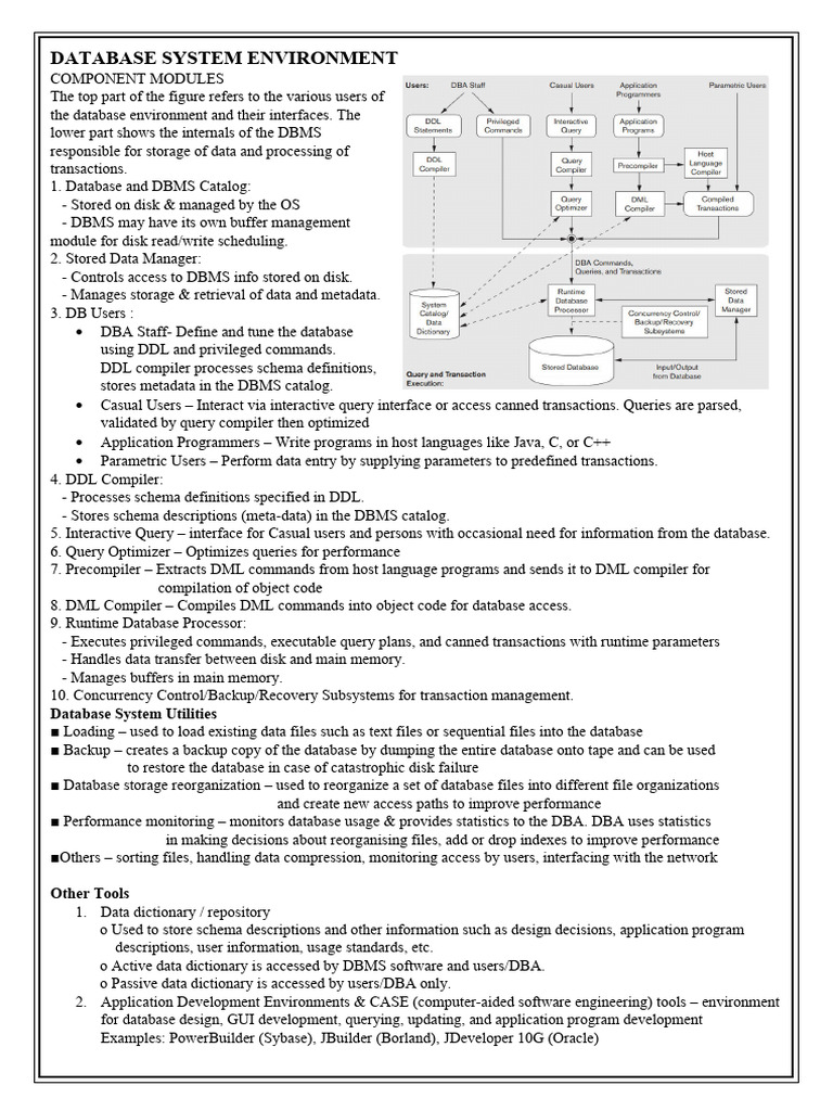 Database System Environment | PDF | Databases | Relational Database
