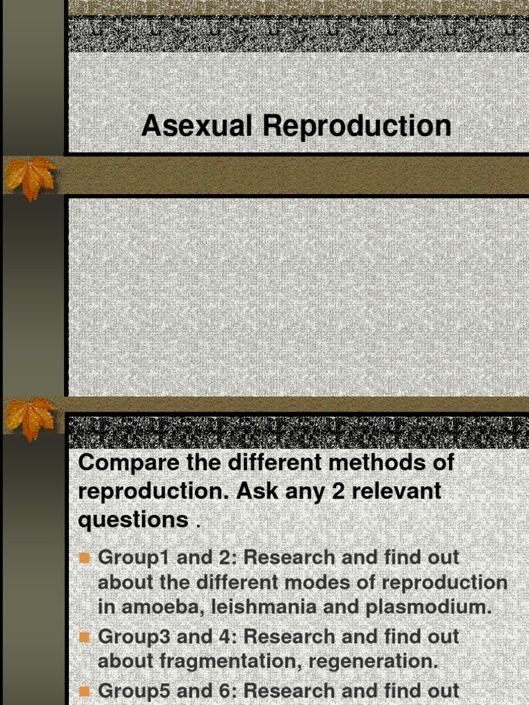 Asexual Reproduction in Plants | PDF | Cell (Biology) | Reproduction