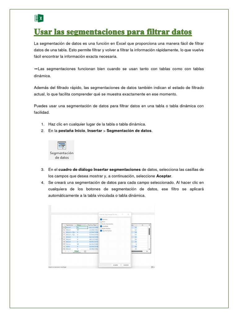 Usar Las Segmentaciones para Filtrar Datos | PDF | Segmentación de imagen | Microsoft Excel