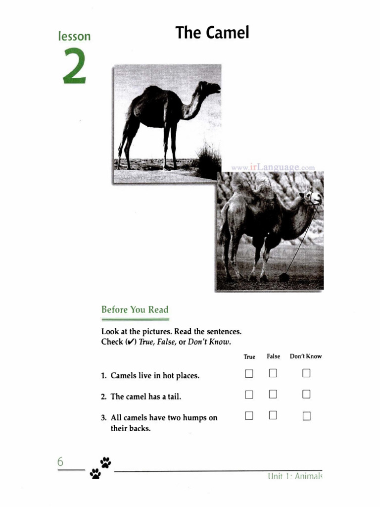 01.Lesson 2. The Camel | PDF | Camel | Ethnobiology