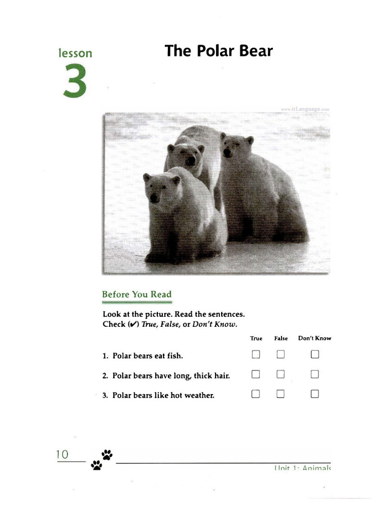 01.lesson 3. The Polar Bear | PDF