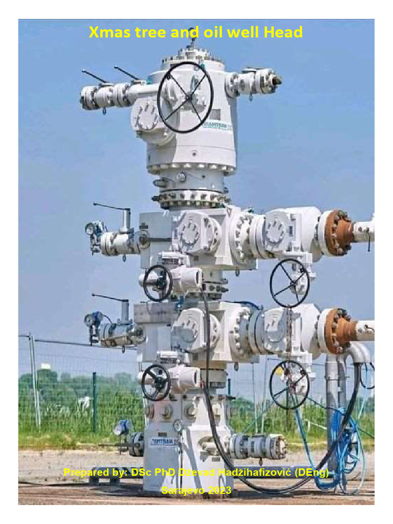 Wellhead & X Mas Tree | PDF | Valve | Corrosion