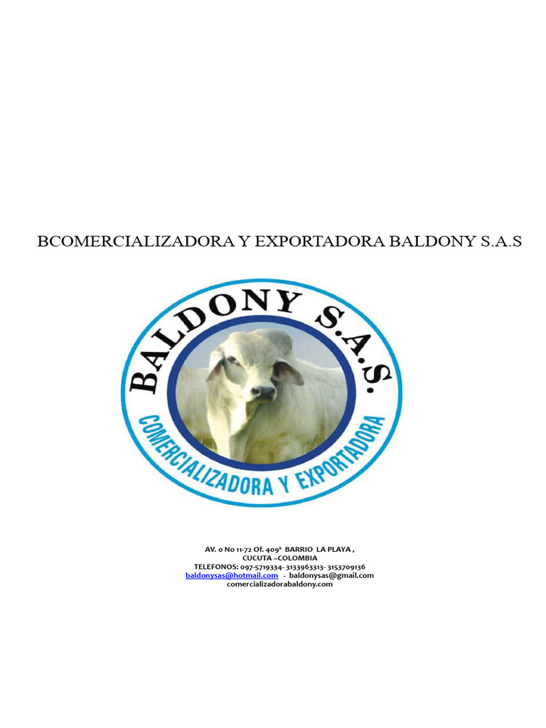 Brochure Baldony.2 Word | PDF | Cocina, comidas y vino