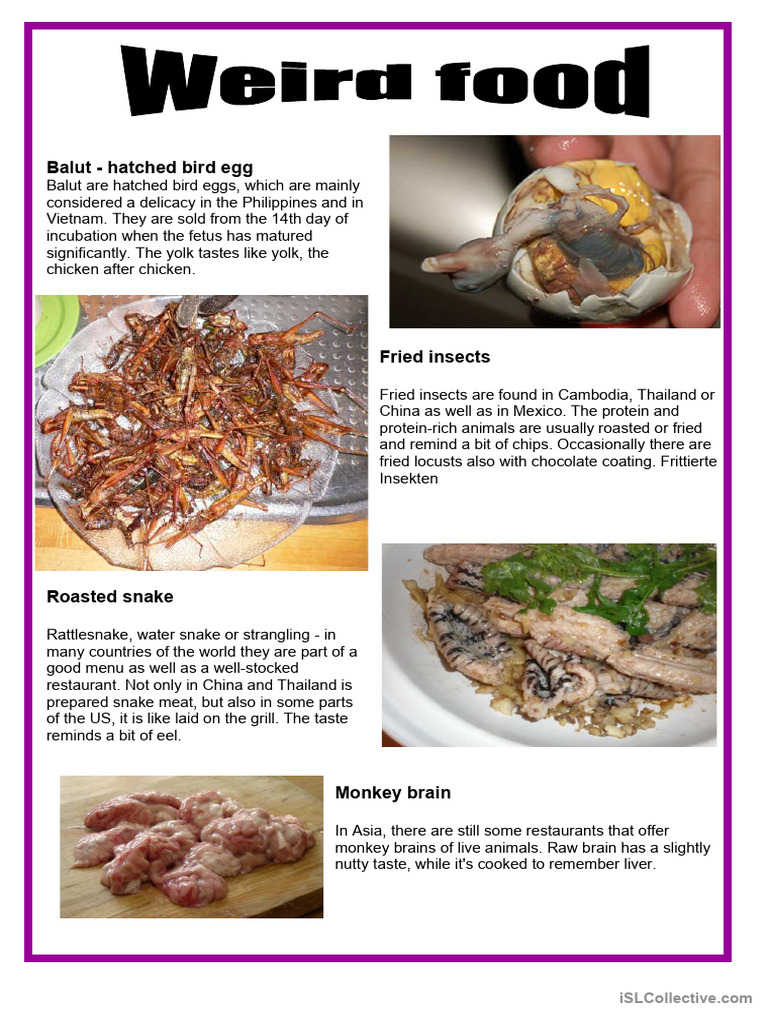 Weird food | PDF | Foods | Cuisine