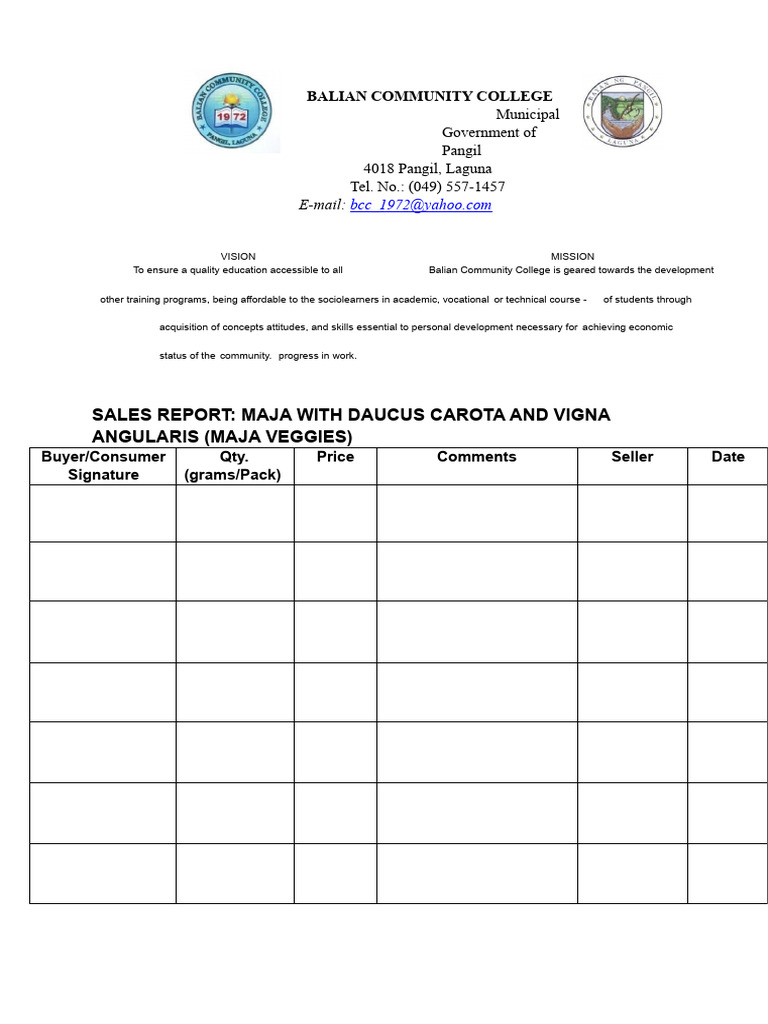 Sales Report | PDF