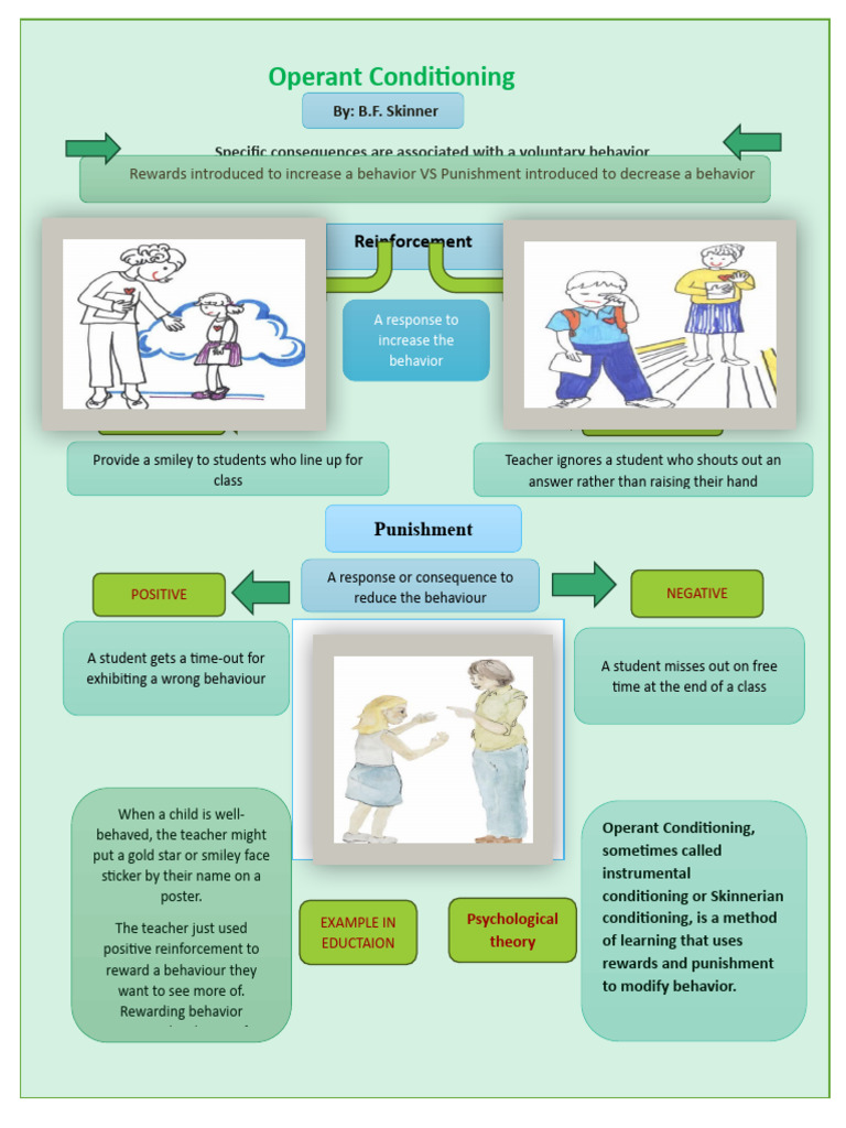 Operant Conditioning | PDF