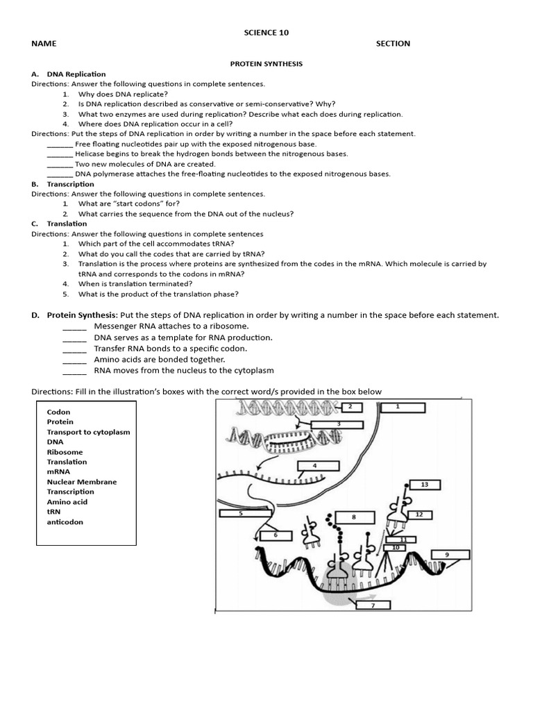 Protein Synthesis Pdf Translation Biology Genetic Code