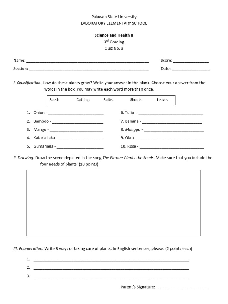 Uses of Plants Quiz Grade 2 | PDF | Home & Garden | Science & Mathematics