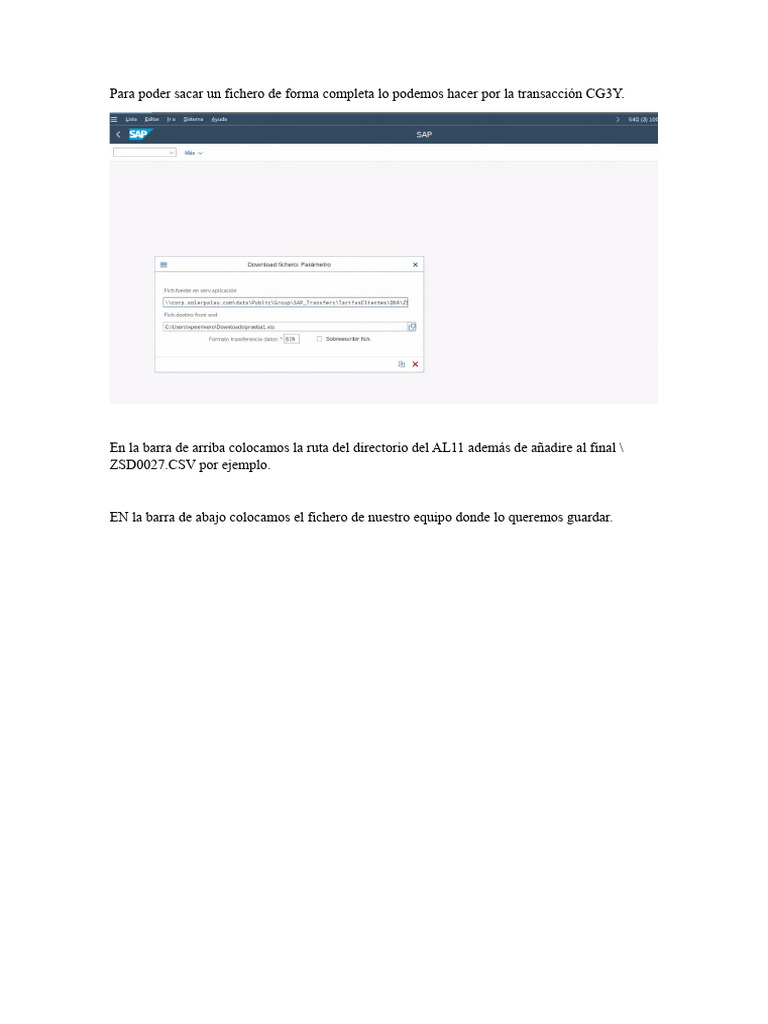 Guía para Exportar Archivos con CG3Y | PDF