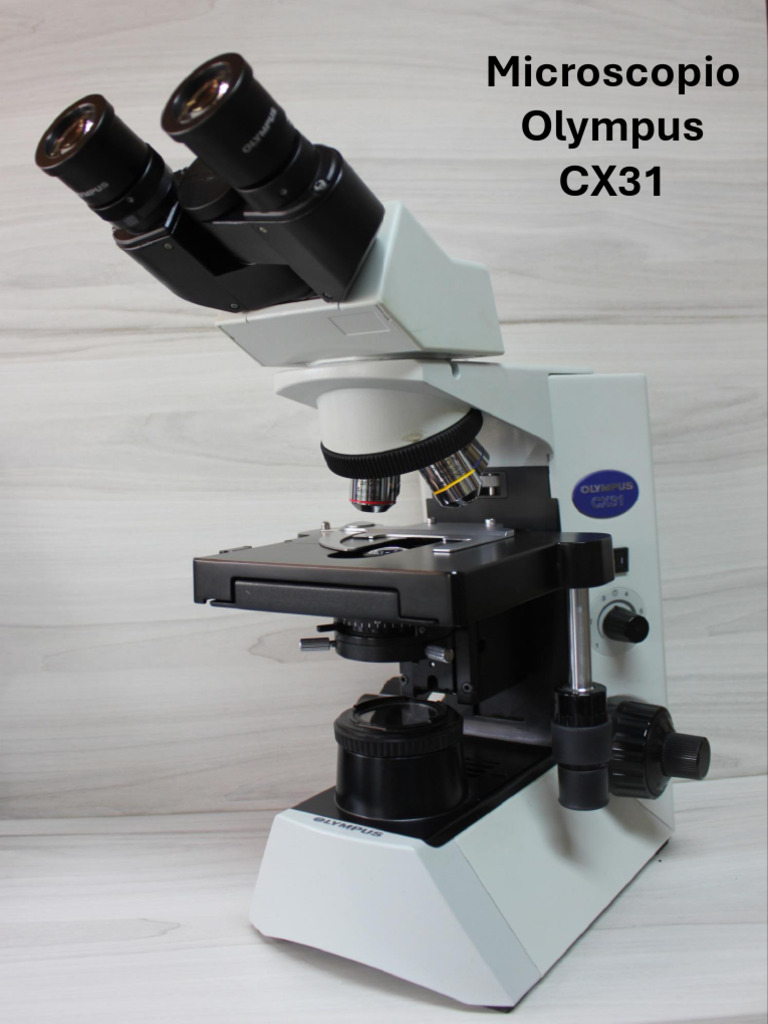 Guia Uso Del Microscopio 2024 | PDF | Microscopio | Organismos