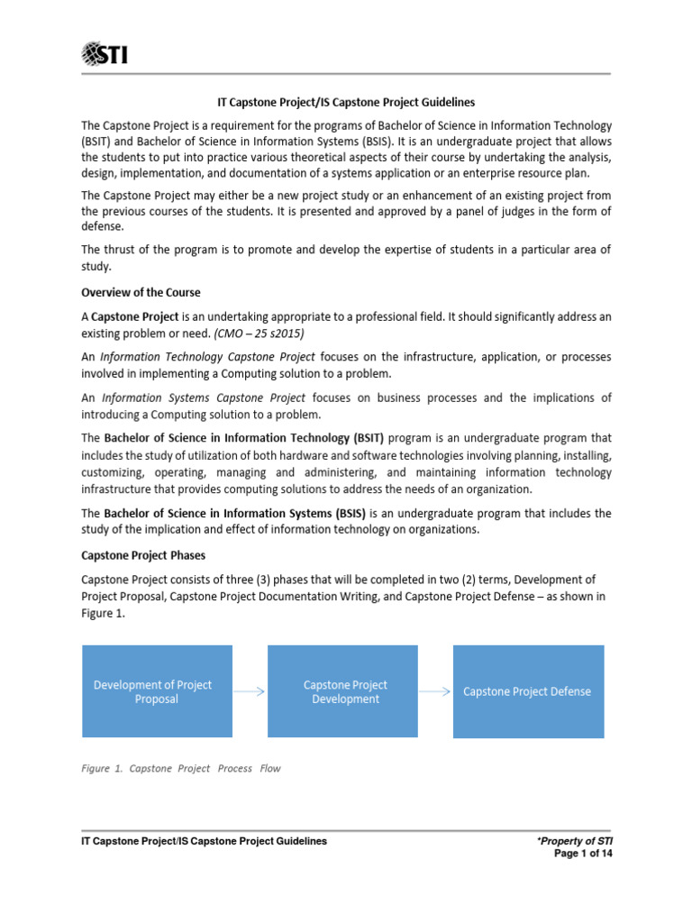 Capstone Project Guidelines | PDF | Computing | Information System