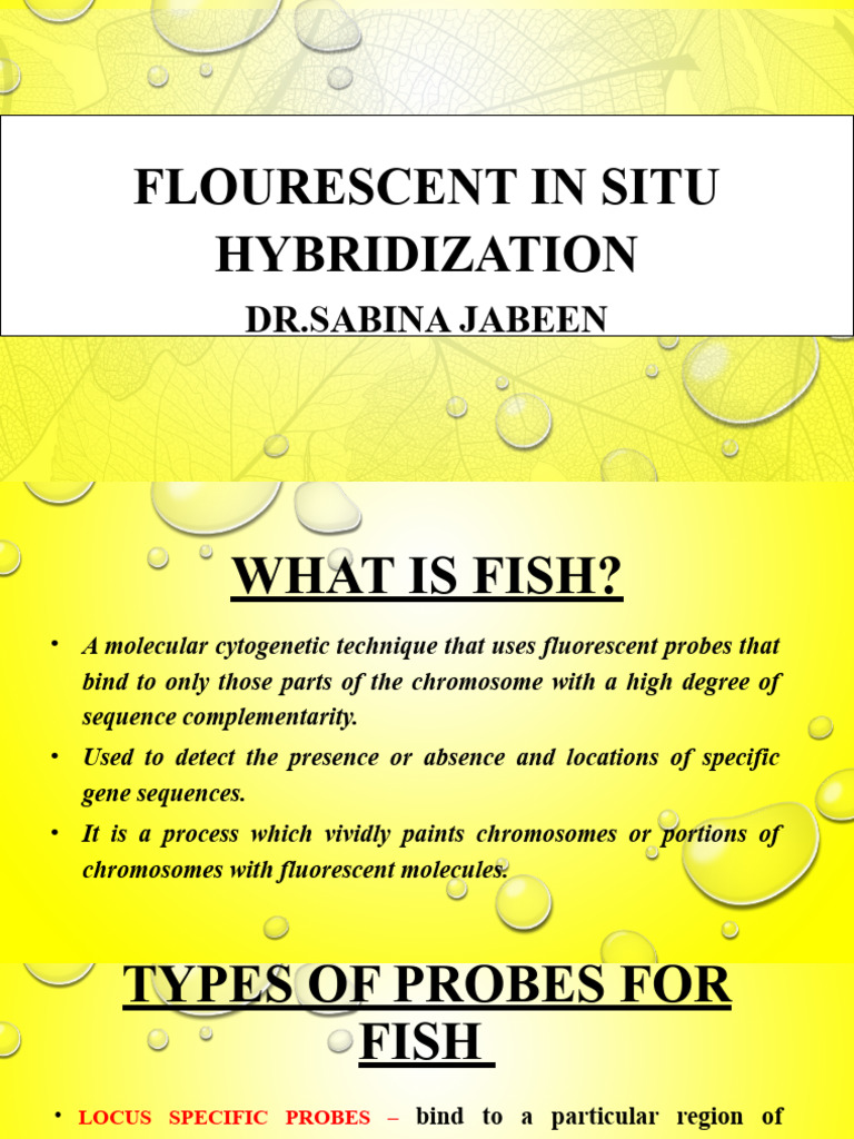 FISH-ISCN 1 (genetics) | PDF | Fluorescence In Situ Hybridization ...