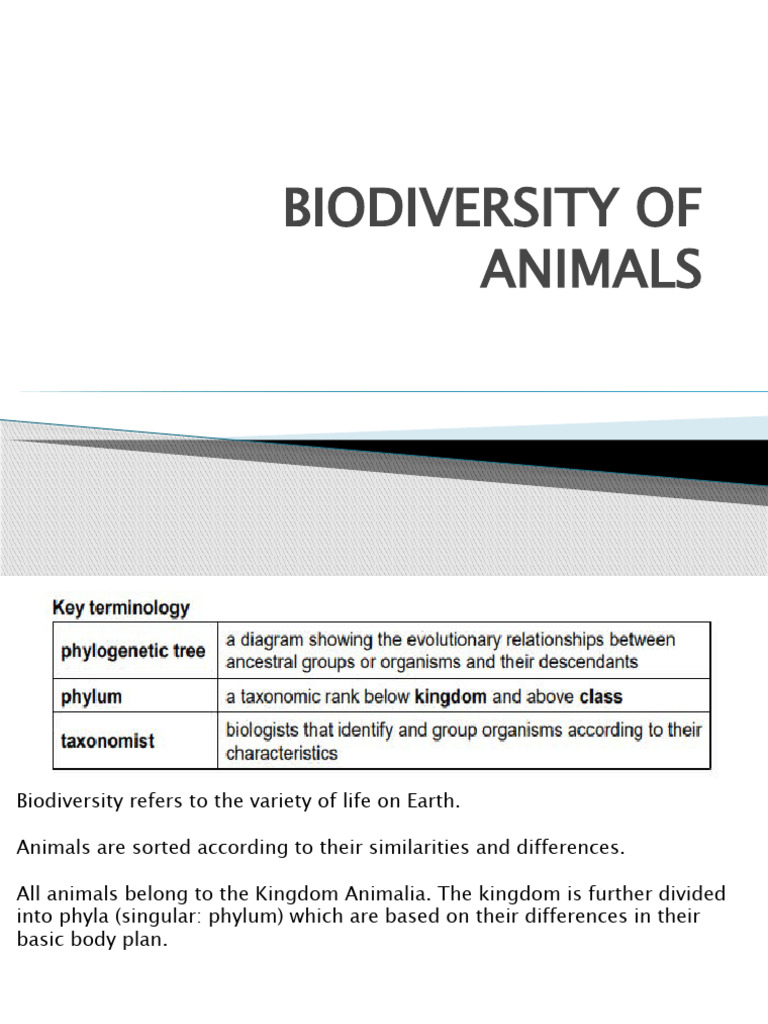 Understanding Animal Biodiversity and Body Plans | PDF | Soil | Biology