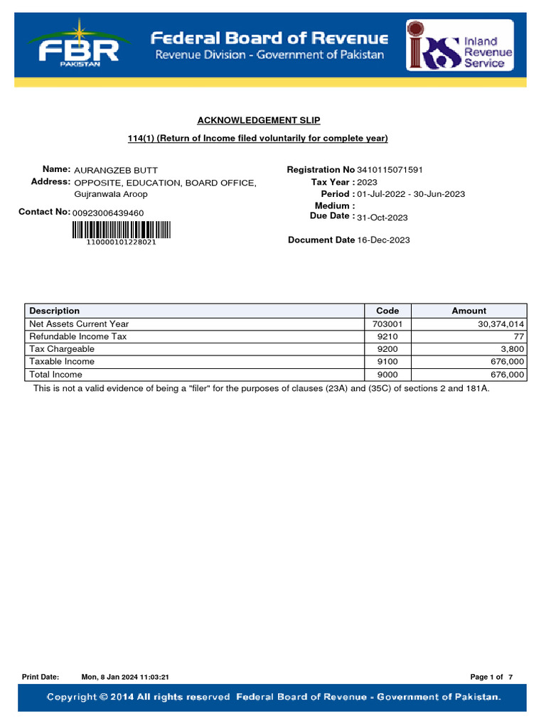 2023 Income Tax Return Summary | PDF | Capital Gains Tax | Taxes