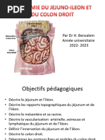 Anatomie chirurgicale du colon humain | PDF | Gros intestin | Anatomie