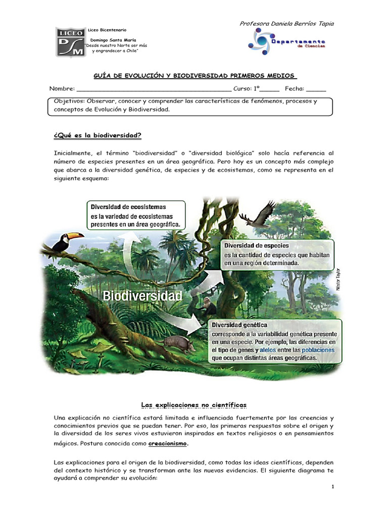 Evolución y Biodiversidad: Guía Escolar | PDF | Evolución | Seleccion ...