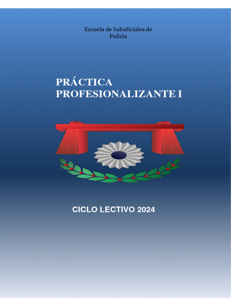 Manual Practica Profesionalizante 1 2024 PDF | PDF