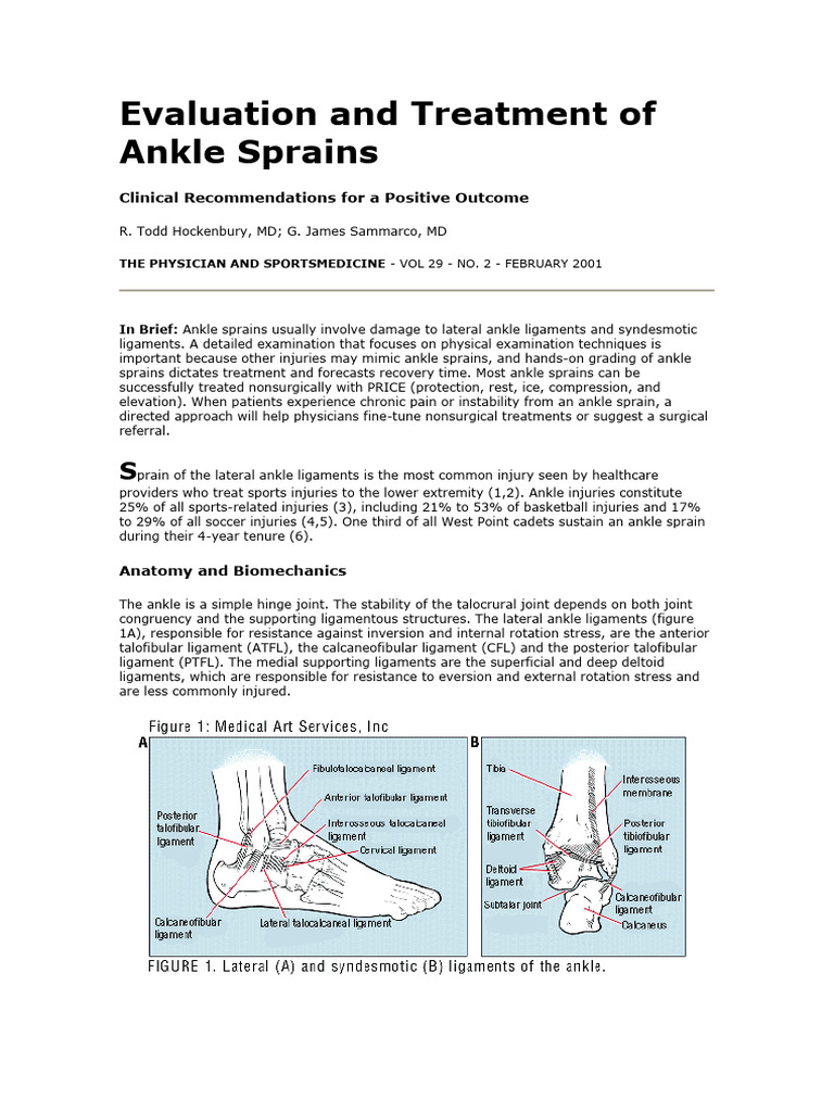Evaluation and Treatment of Ankle Sprains | PDF | Ankle | Foot