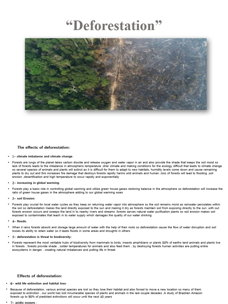 Power Piont (Deforestration) | PDF | Deforestation | Amazon Rainforest