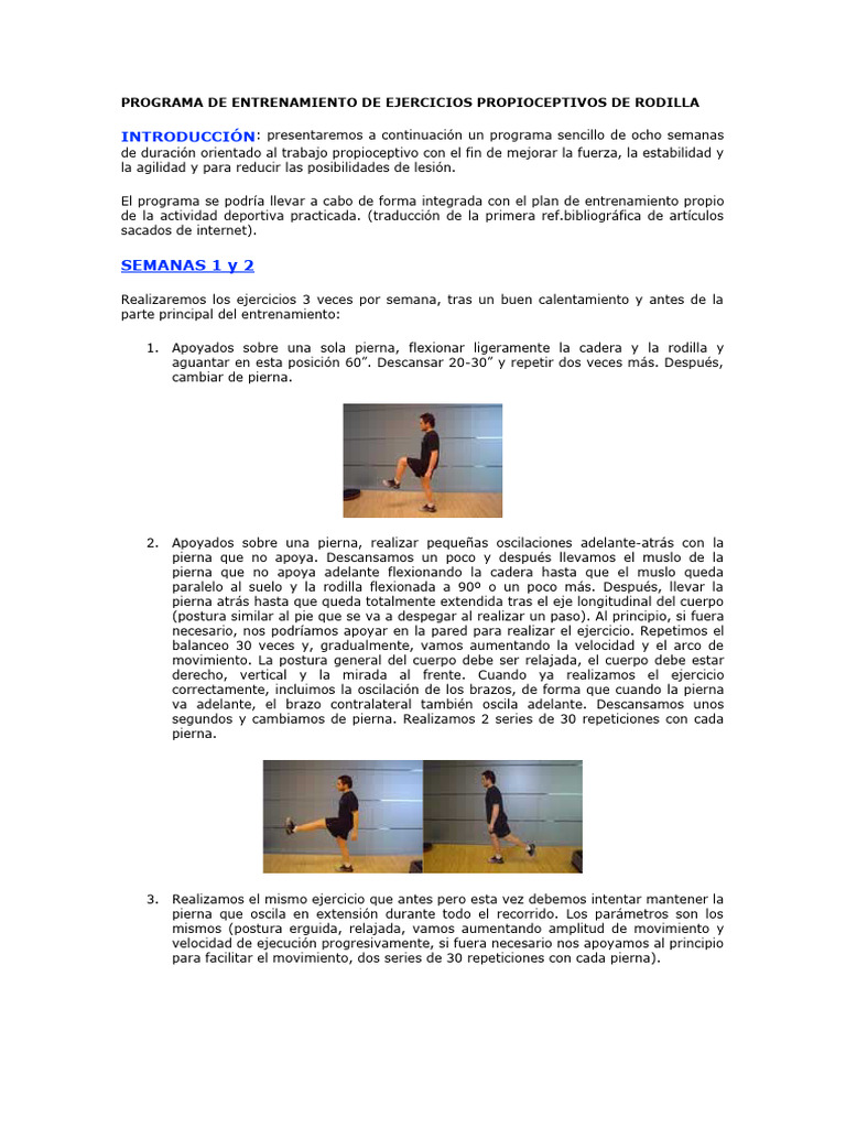 PROGRAMA DE ENTRENAMIENTO DE EJERCICIOS PROPIOCEPTIVOS DE RODILLA | PDF | Rodilla | Ejercicio físico