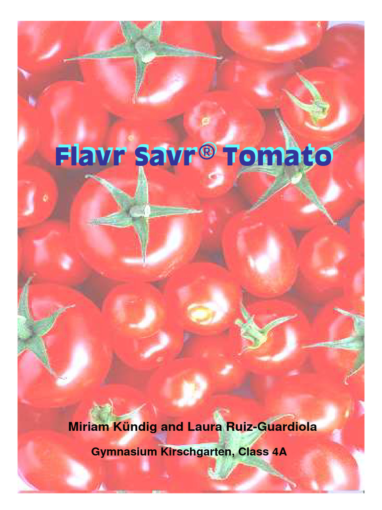 Flavr Savr | PDF | Tomato | Genetic Engineering
