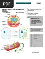 GED Science | PDF | Heat Transfer | Cell (Biology)
