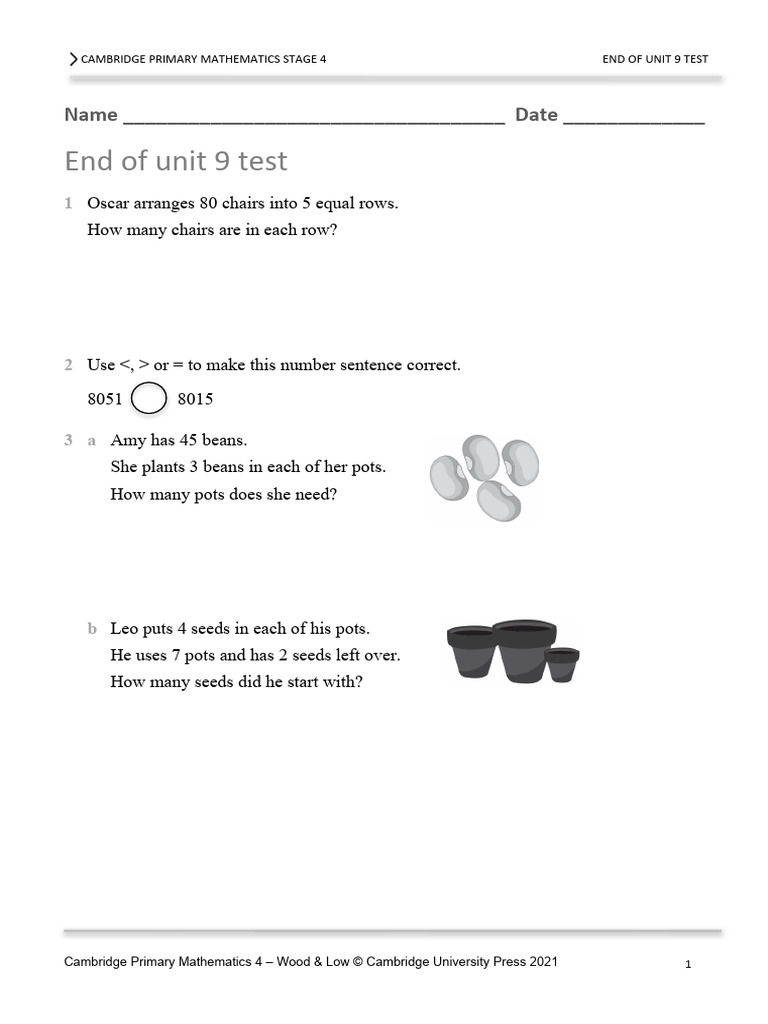 Primary Math Test: Unit 9 | PDF
