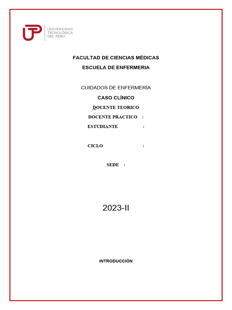Modelo Pae | PDF | Enfermería | Especialidades Medicas