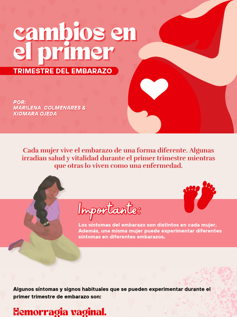 Cambios Maternos en El Primer Trimestre 1 | PDF | El embarazo | Reproducción humana