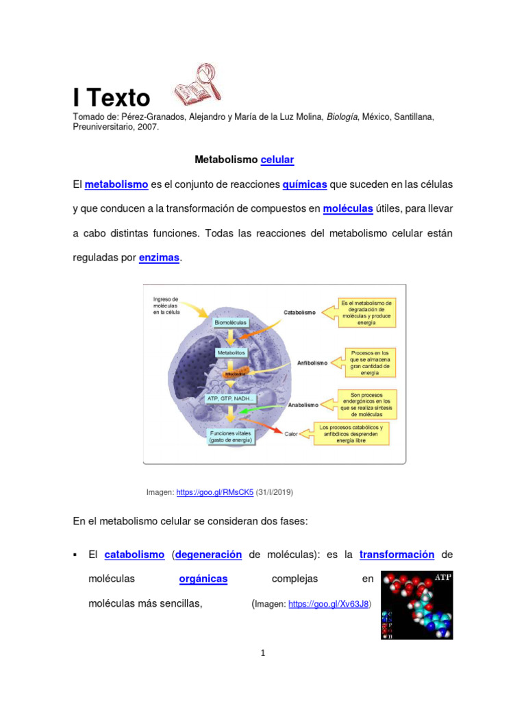 Salud 2 Metabol - Celular | PDF | Metabolismo | Trifosfato de adenosina