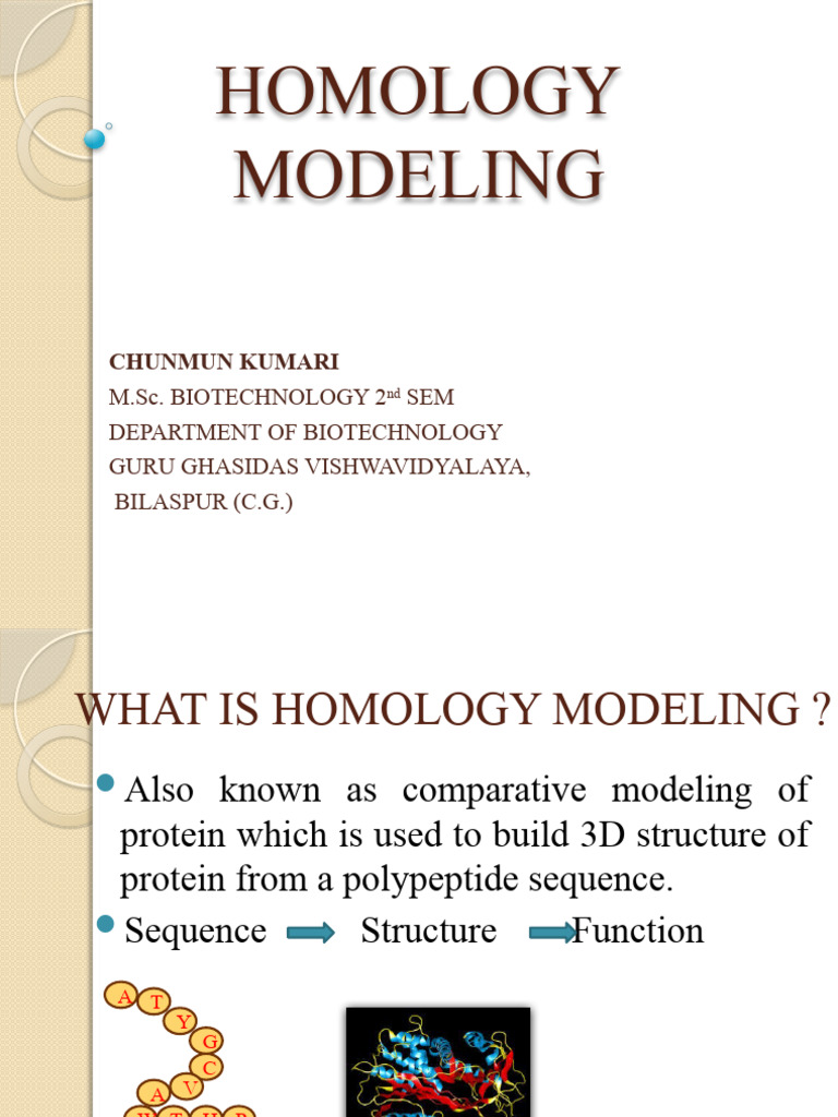 Protein Modeling | PDF | Proteins | Biology