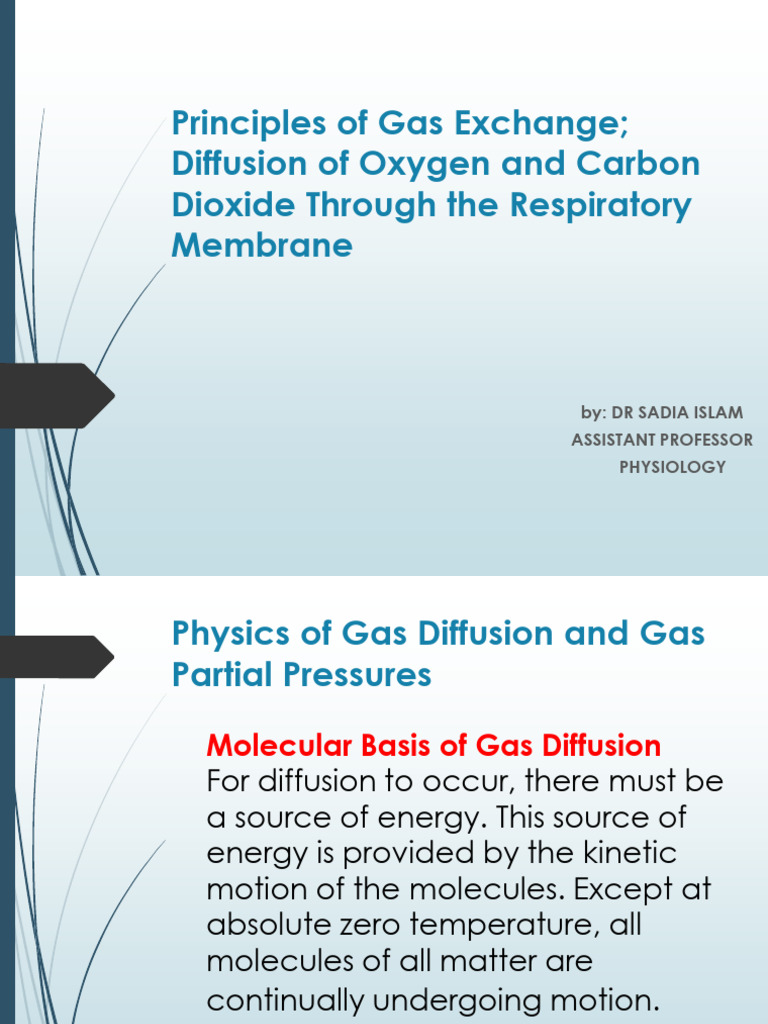 RESP CH 3 Principles of Gas Exchange | PDF | Breathing | Respiratory System