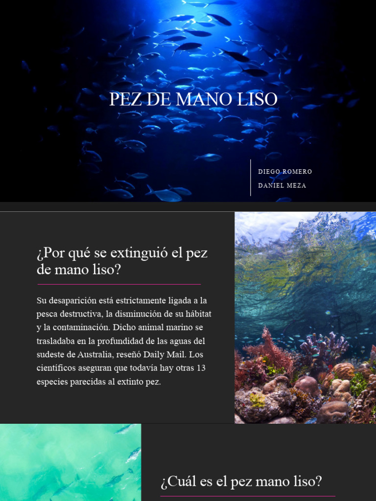 PEZ DE MANO LISO | PDF