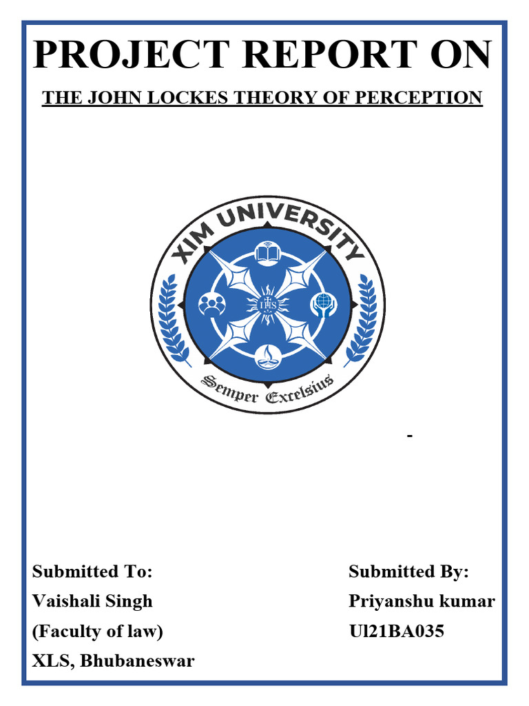 Vaishali Singh Project | PDF | Perception | Experience