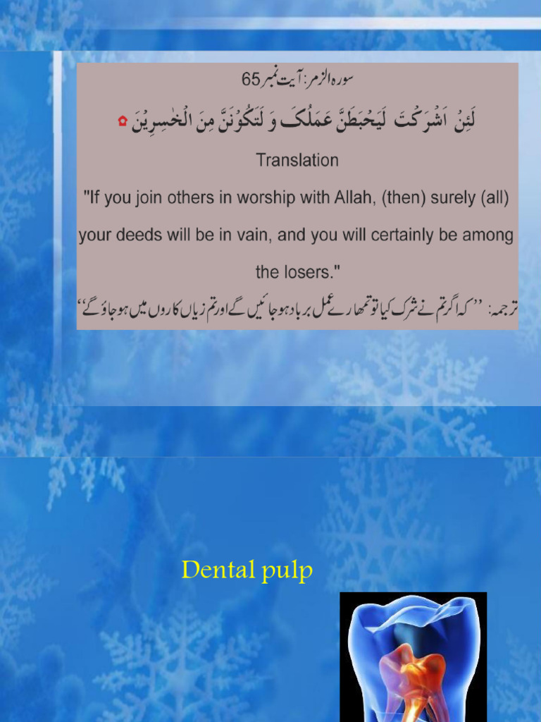 1-Definition of Pulp, Anatomy, Structural Organisation | PDF | Dental ...