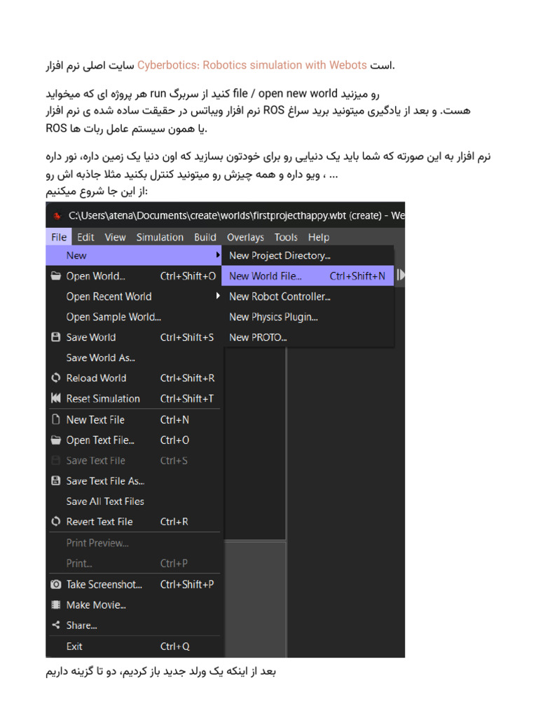 Cyberbotics: Robotics Simulation With Webots | PDF